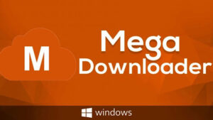 Megadownloader - Zuckdev